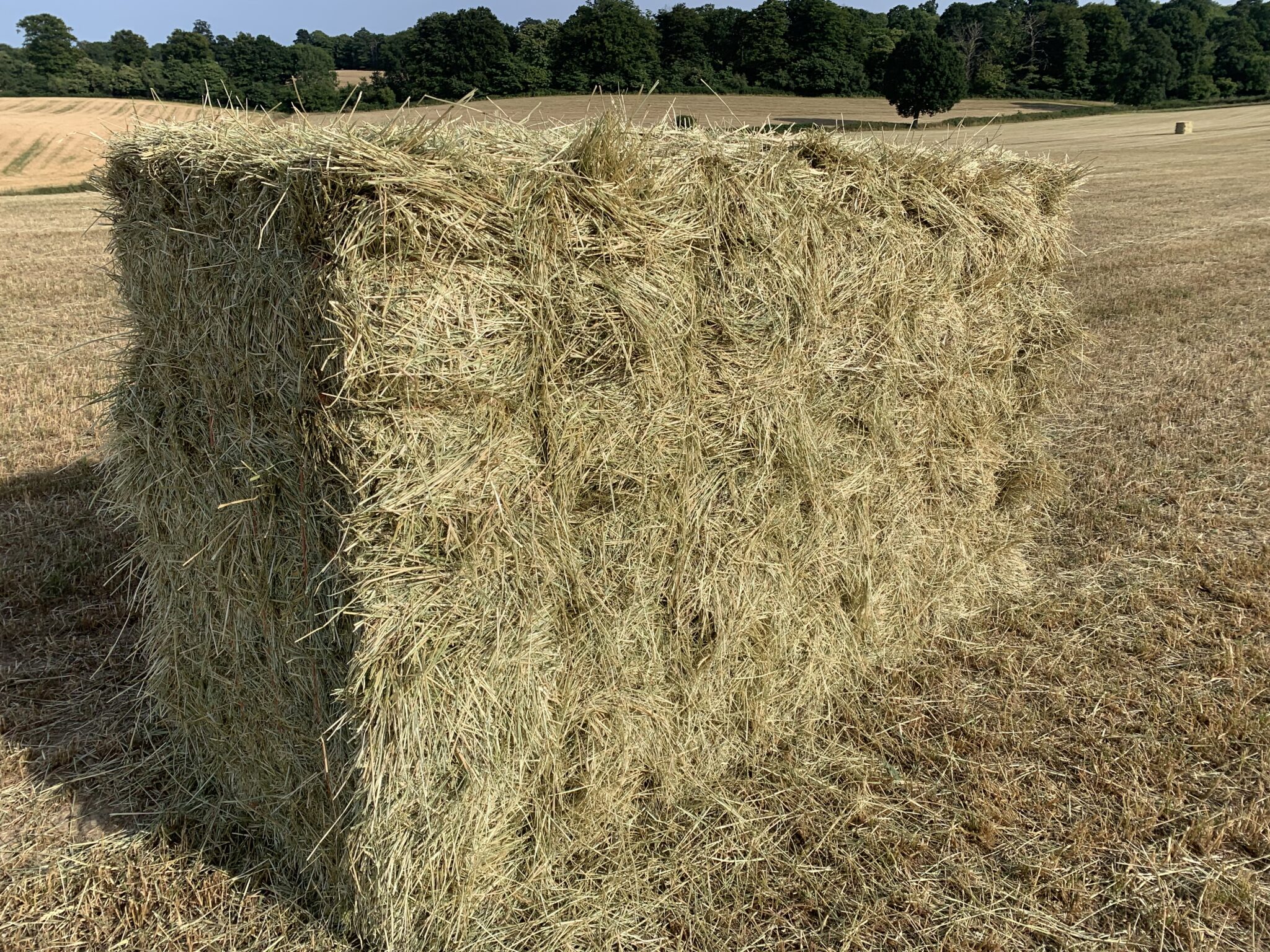 Home - Hartsland Haylage